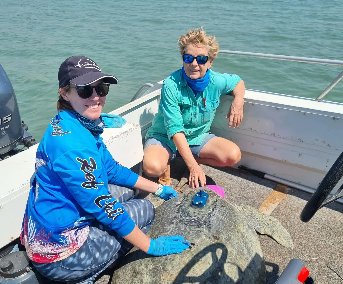 Marine megafauna research across the remotest sea country in the NT ...