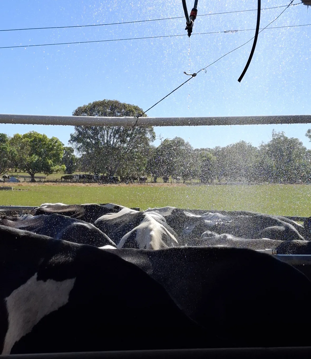 New project to study how things are heating up in the agriculture ...
